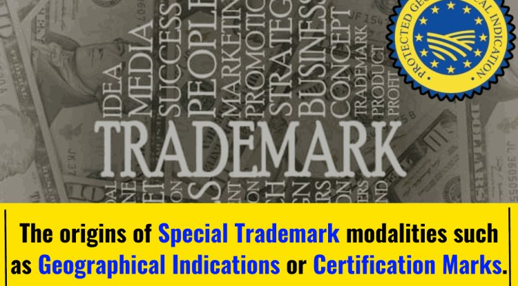 The origins of special trademark modalities such as geographical ...