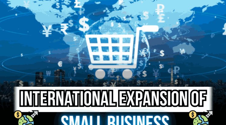 International expansion of small business - Blog | Sonisvision