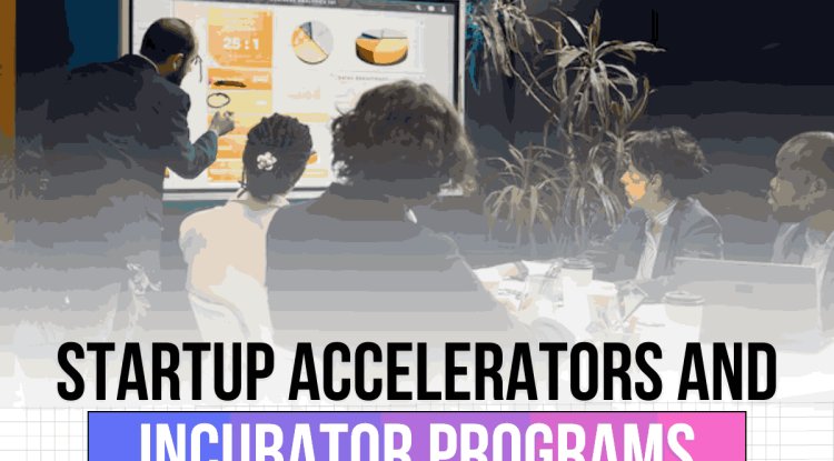 Startup Accelerators and Incubator Programs - Blog | Sonisvision