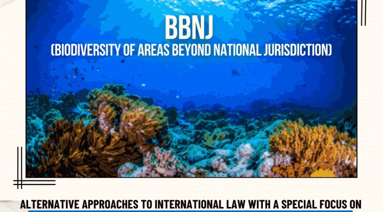 Alternative approaches to International law with a special focus on ...