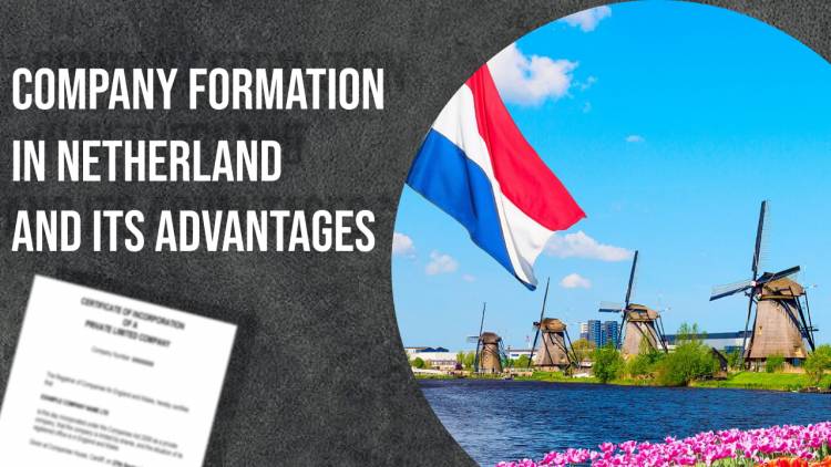 COMPANY FORMATION IN NETHERLANDS AND RELATED ADVANTAGES - Blog ...
