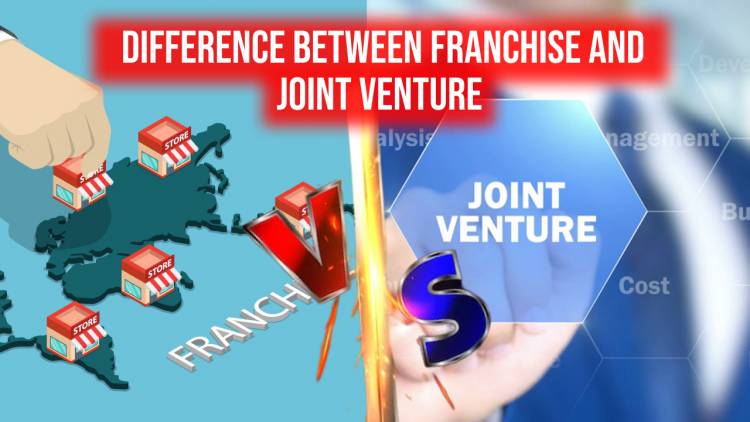 Difference Between Franchise and Joint Venture - Blog | Sonisvision