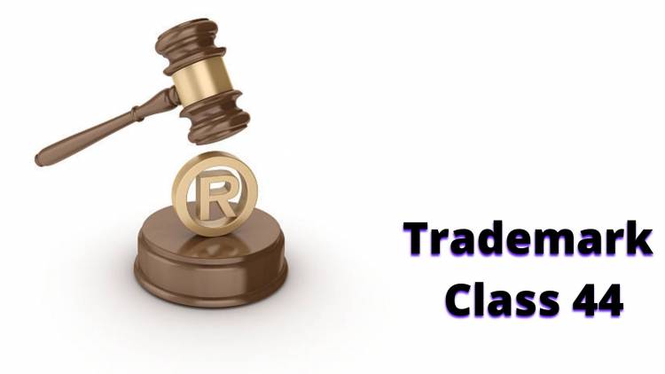 TRADEMARK CLASS FOURTY-FOUR - Blog | Sonisvision